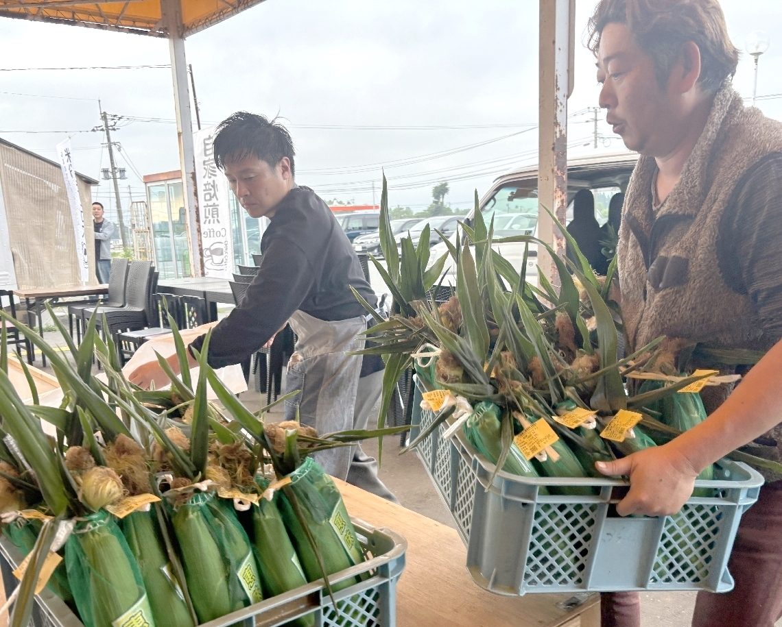 竹田市菅生で特産スイートコーンの収穫始まる 道の駅で朝市も「はじける食感と甘さ」 - 大分のニュースなら 大分合同新聞プレミアムオンライン Gate